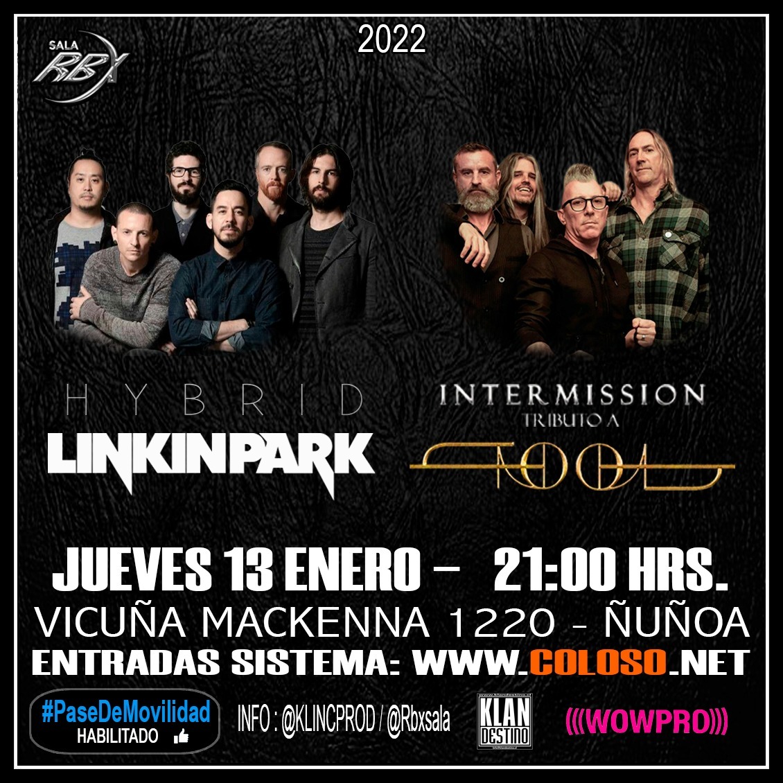 Coloso Store – COLOSO